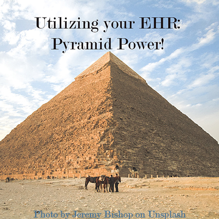 Pyramid Power: EHR Support and On-going Training Set Apart the Best ...